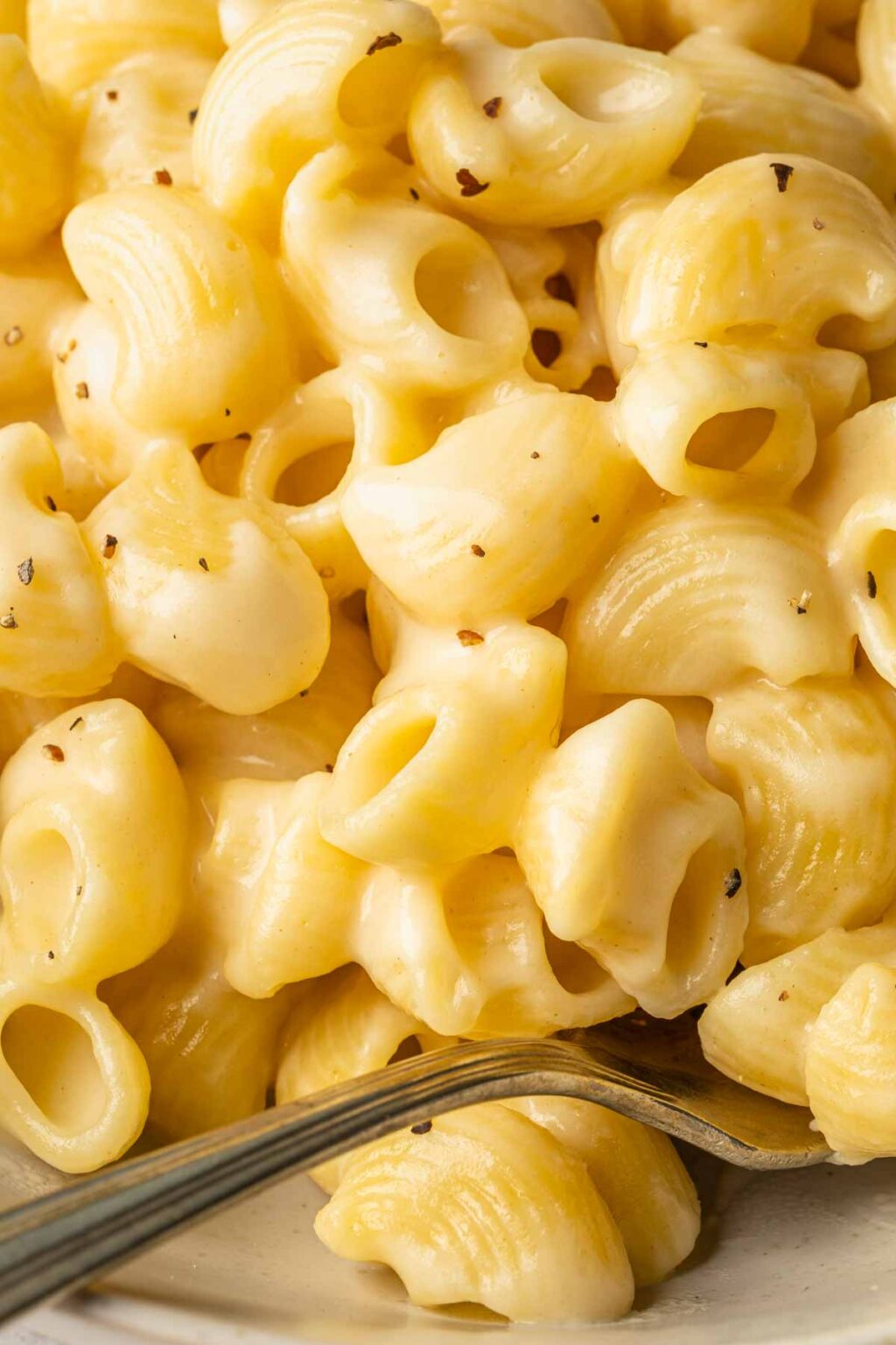 White Cheddar Mac and Cheese - The Pasta Twins